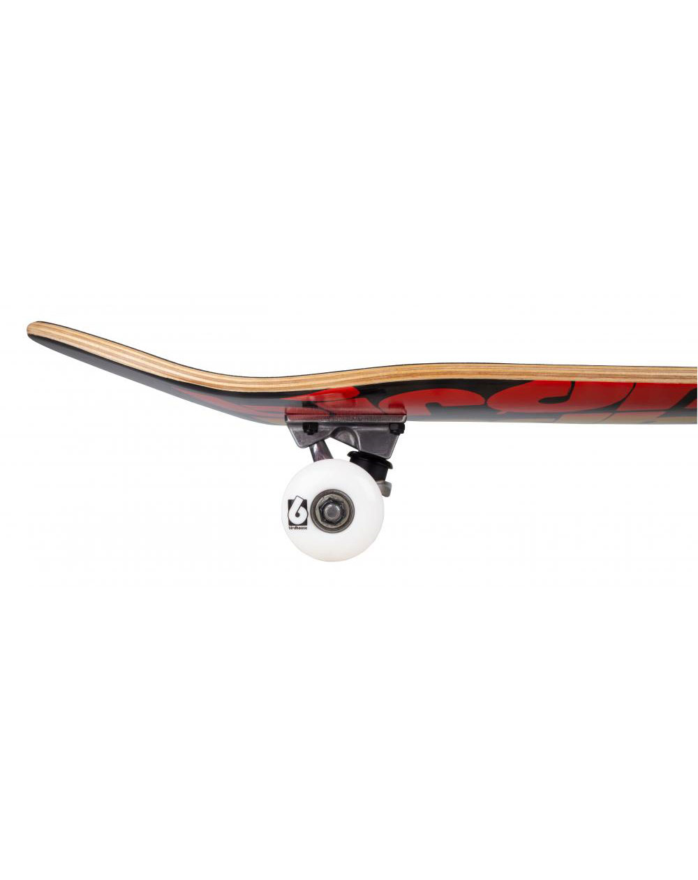 Triple Stack 8" Birdhouse Complete Skateboard in Rasta